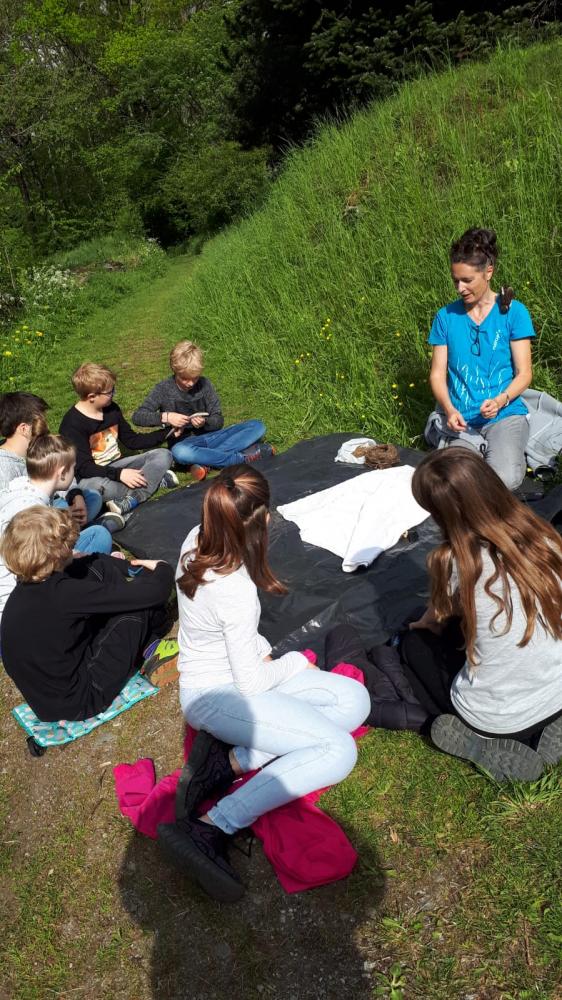 Vogelwanderung 🐦🪹 | VS Nord - Lienz